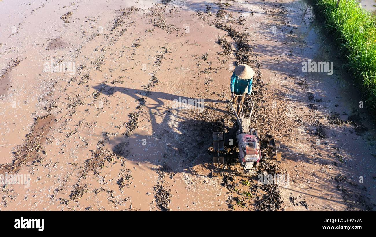 farmer plowing muddy field with hand tractor on indonesia, asia Stock ...