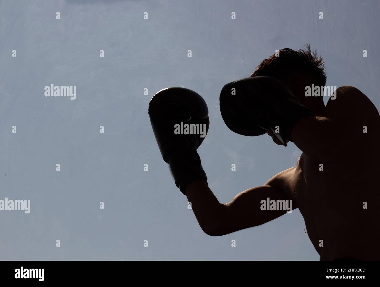 Lightweight boxer hi-res stock photography and images - Alamy