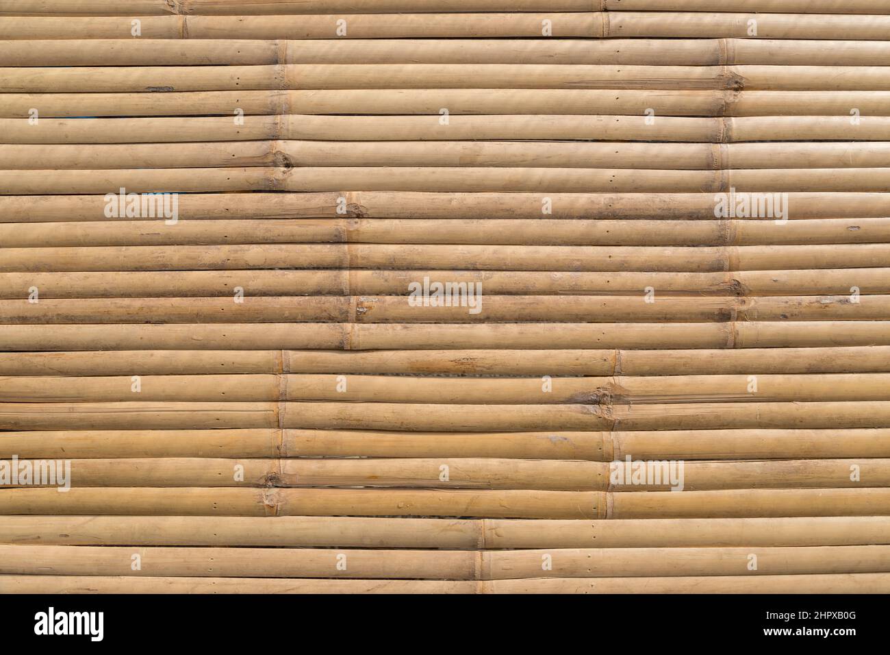 Bamboo panel texture background Stock Photo - Alamy