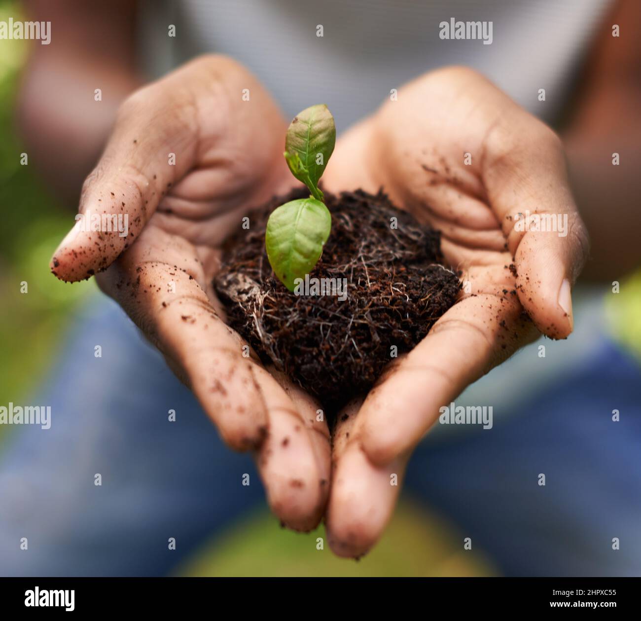 Hes got a nurturing touch. Cropped shot of a growing plant in a mans ...