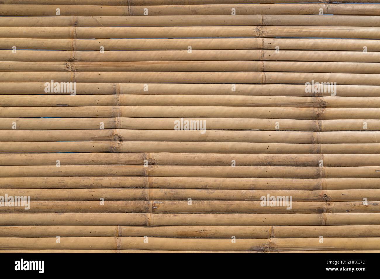 Bamboo panel texture background Stock Photo - Alamy