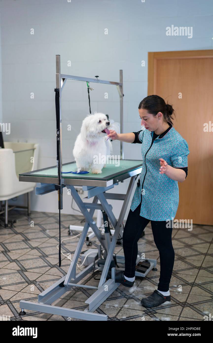 Maltese woman hi-res stock photography and images - Alamy