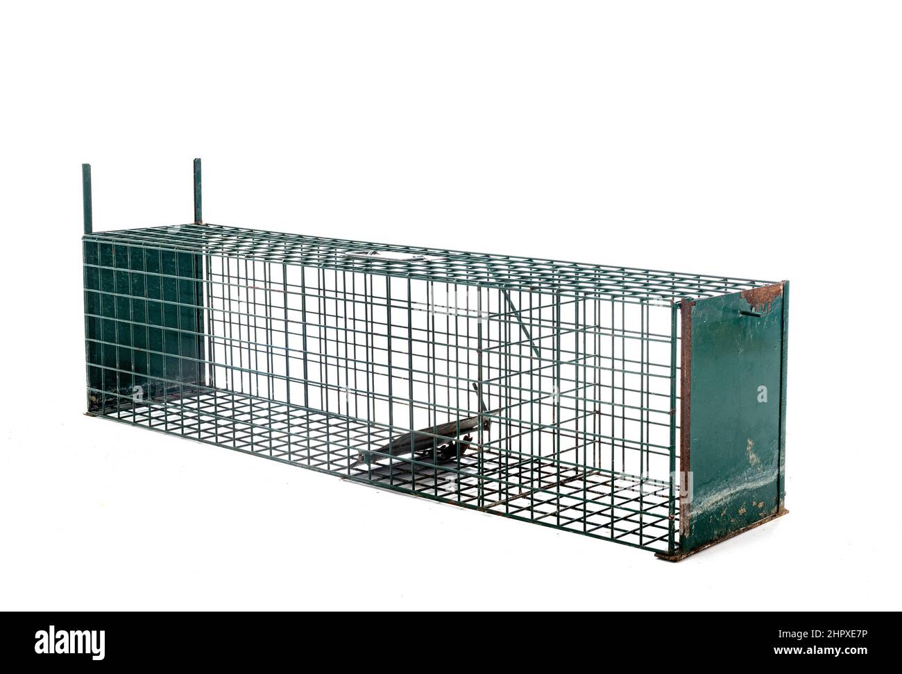 trap cage in front of white background Stock Photo - Alamy