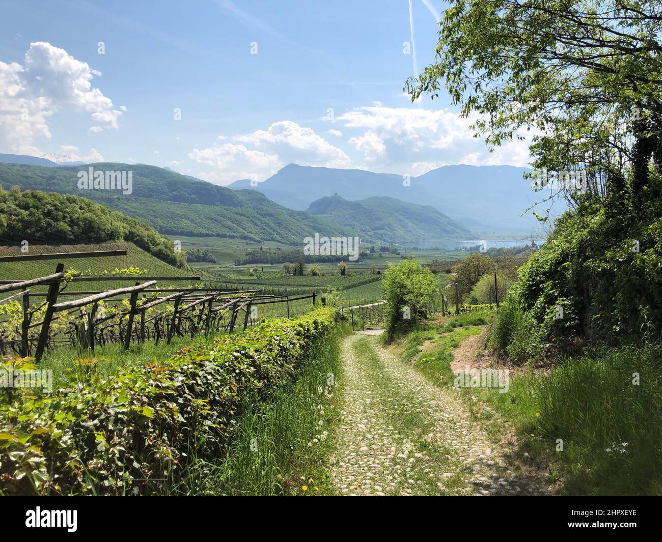 Lago di Caldaro Stock Photo - Alamy