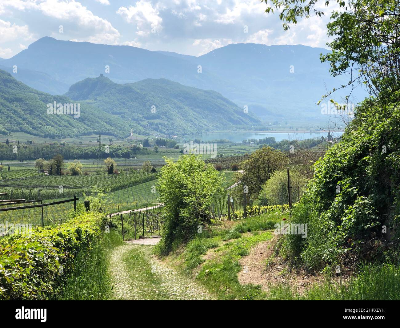 Lago di Caldaro Stock Photo - Alamy