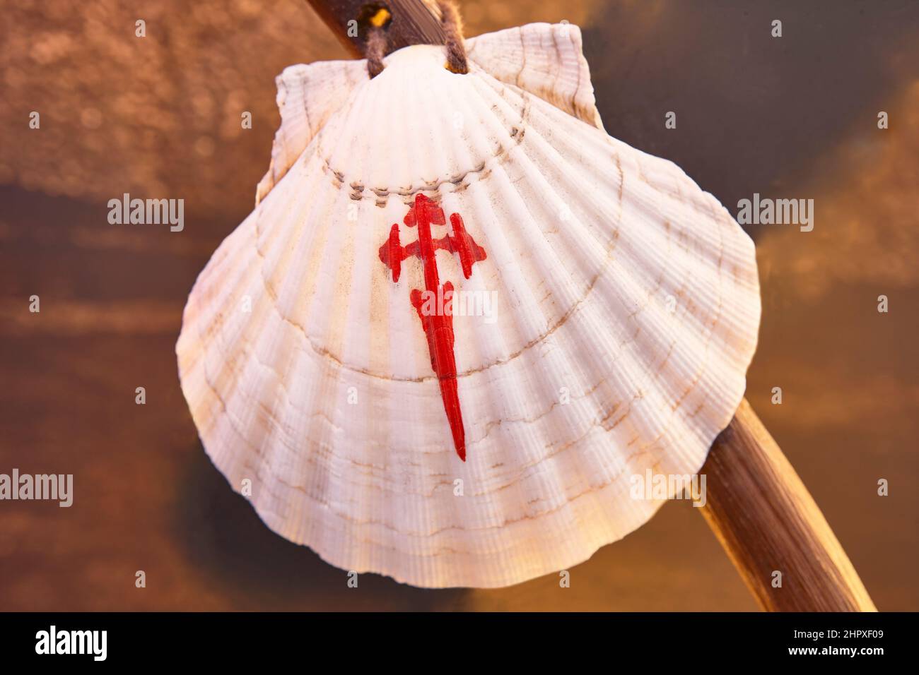 Shell with Santiago cross. Ancient pilgrimage travel route in Spain ...