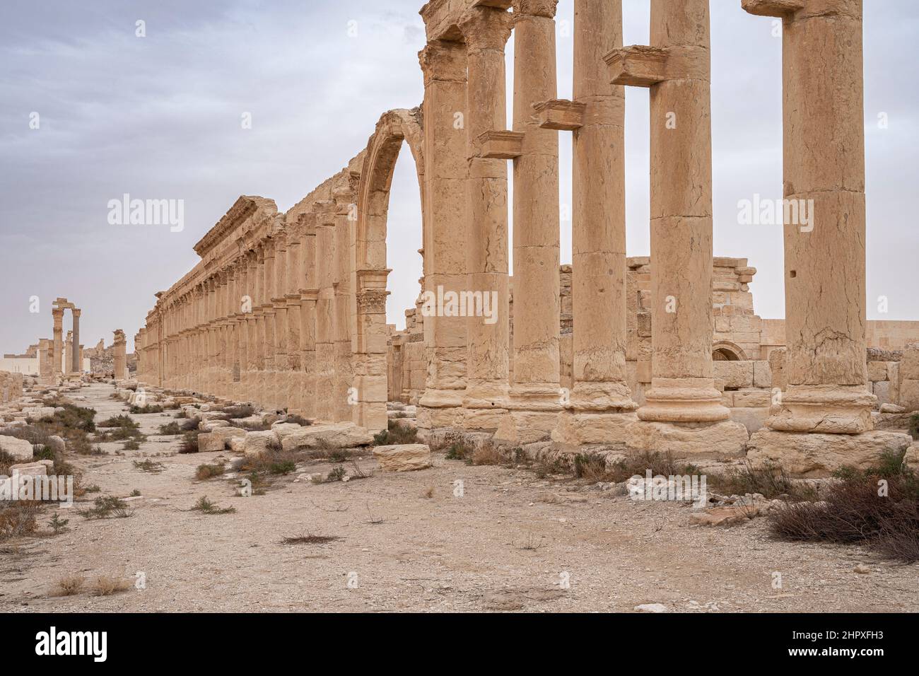Roman ruins in the desert oasis of Palmyra, Syria Stock Photo - Alamy