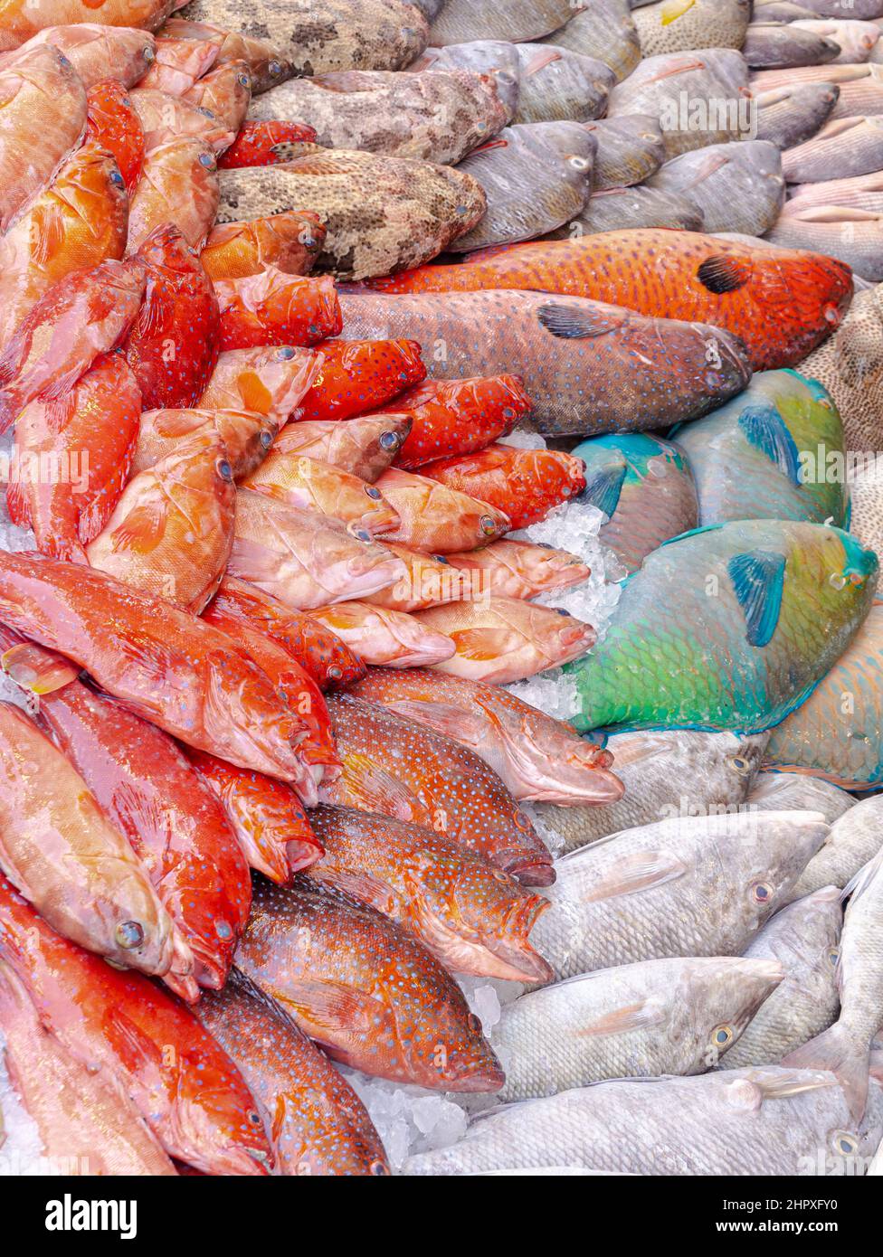 Colorful fishes in the market Stock Photo - Alamy