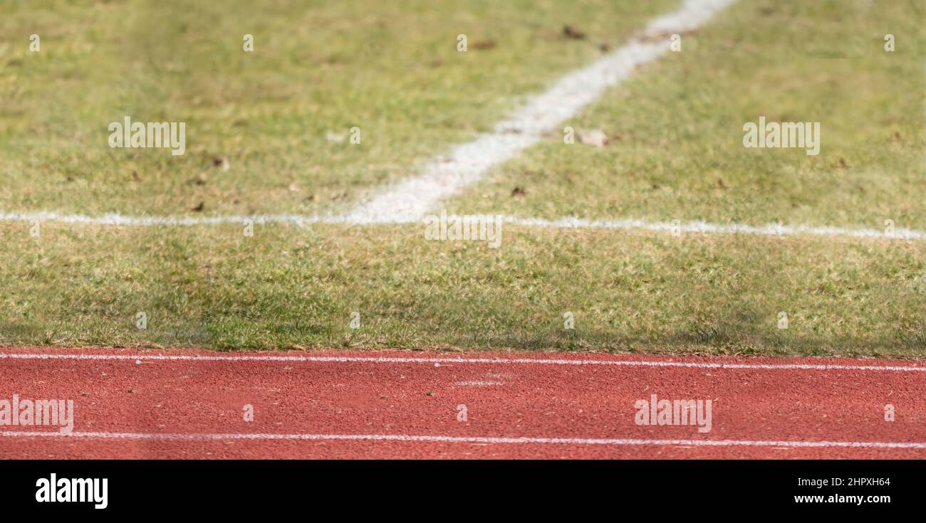 Top view of white horizontal stripe on the artificial soccer field ...
