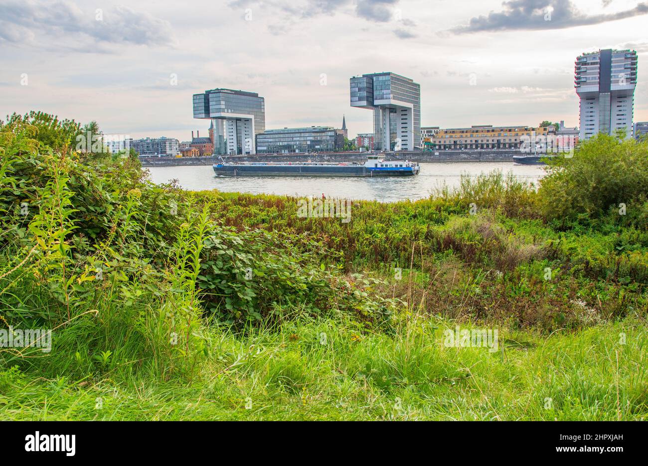 The Rhine River, the buildings, and the Cityscape of Cologne NRW ...