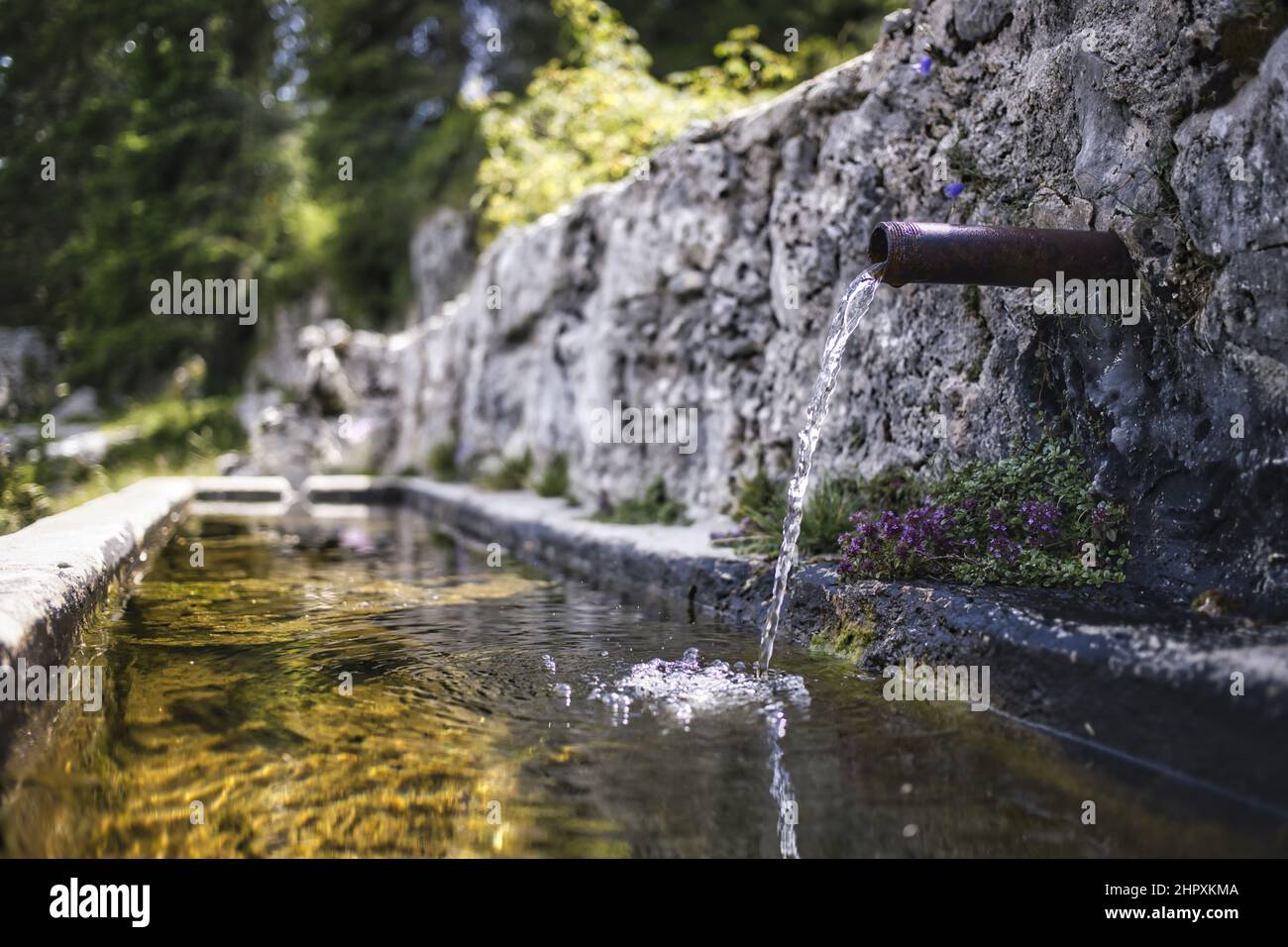 Selective focus photo of a tube from which water flows down Stock Photo ...