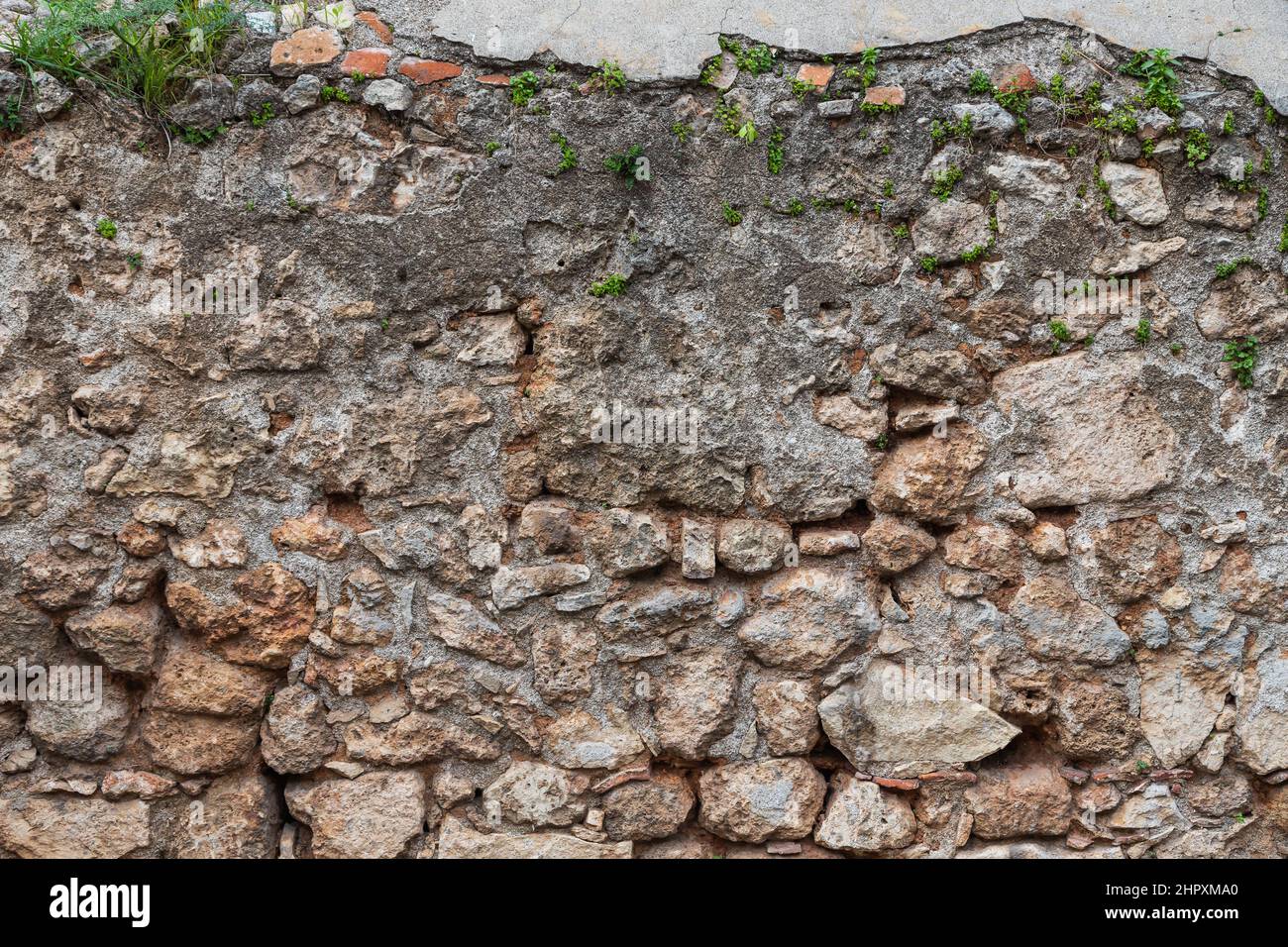 Background of brown-gray stone wall with leaves and moss . Pattern of ...