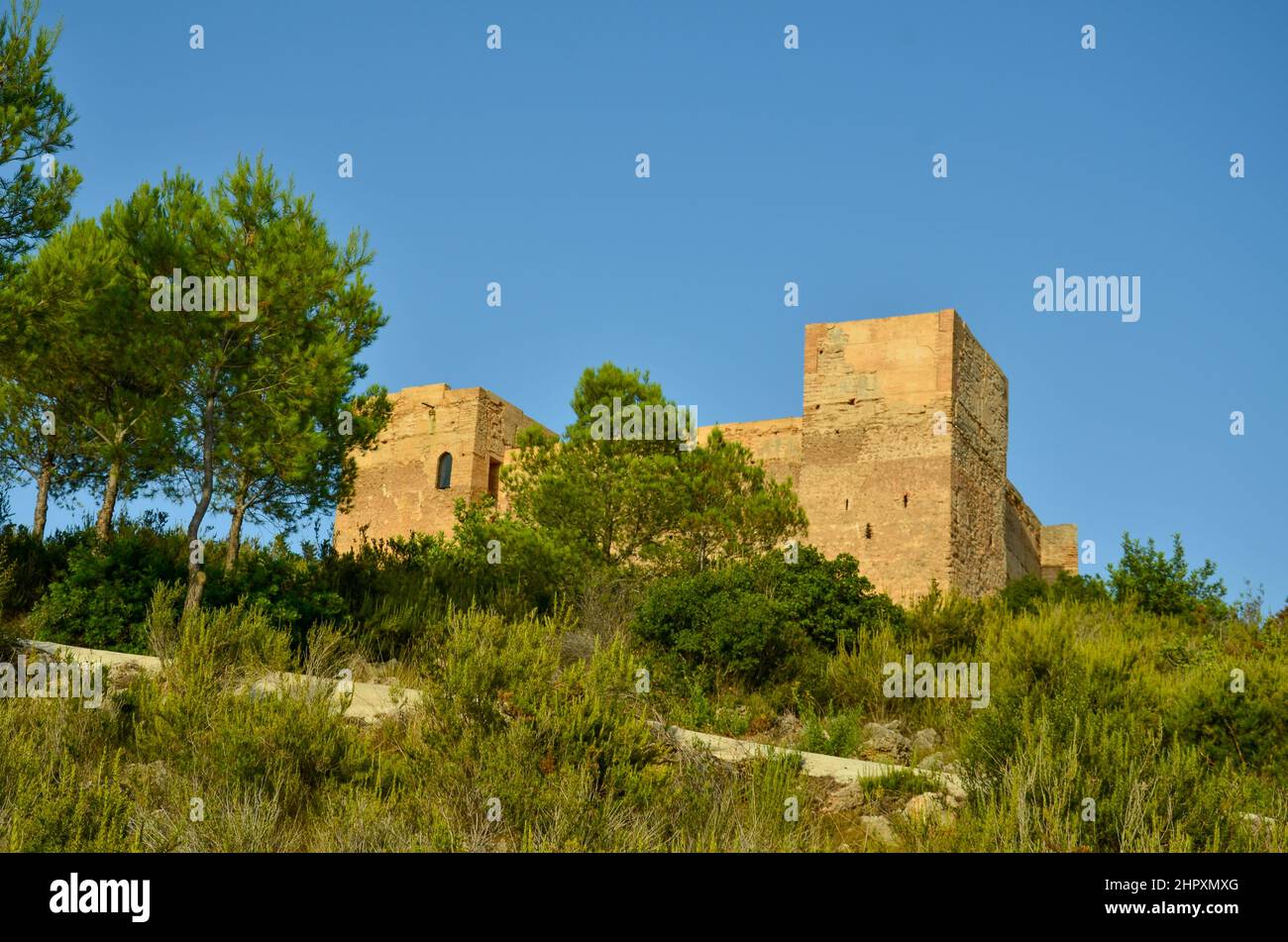 The castillo de forna on a big rock surrounded by green trees and ...
