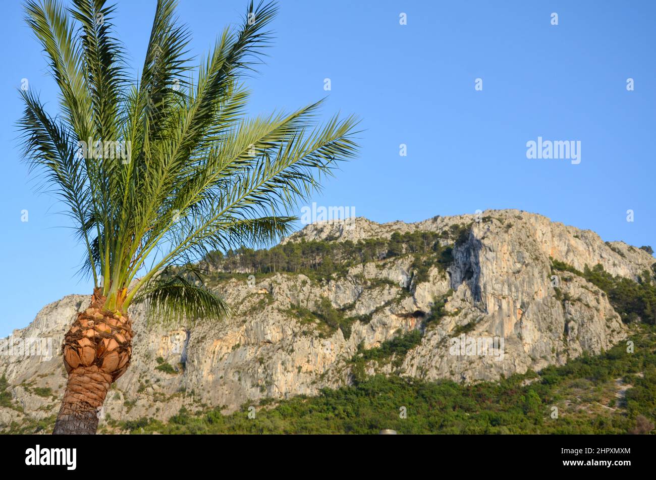 Castillo de forna hi-res stock photography and images - Alamy