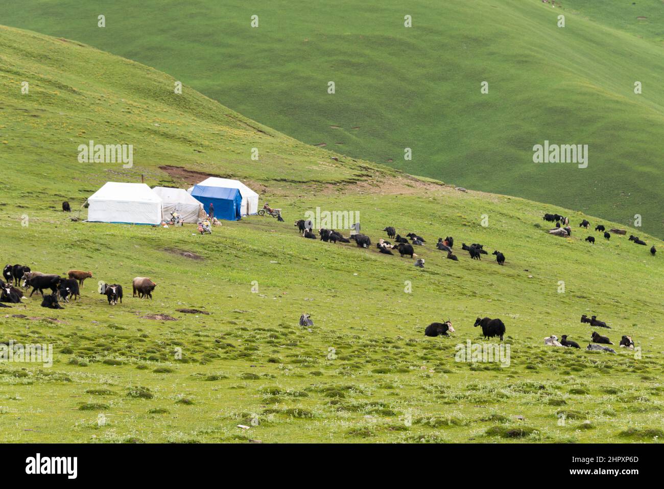 LITANG, CHINA - Grasslands at Litang town. a famous Tibetan town of ...