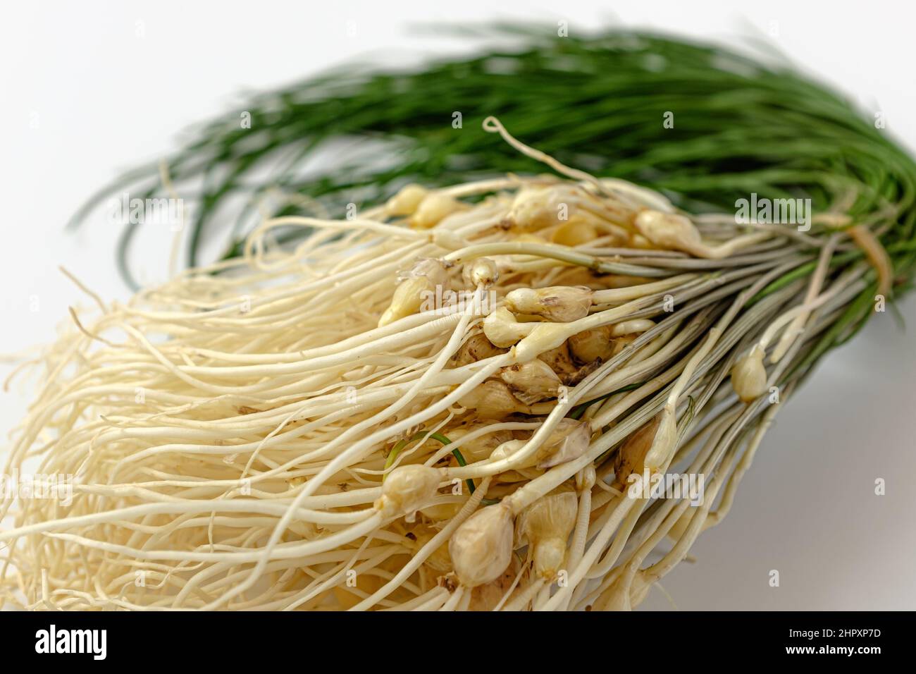 wild chive on a white background Stock Photo - Alamy