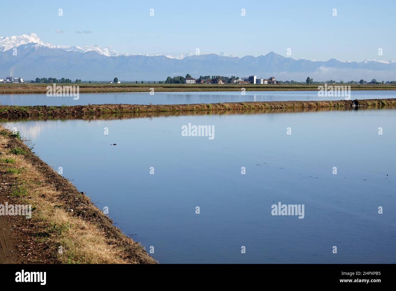Paddy farmlands hi-res stock photography and images - Alamy
