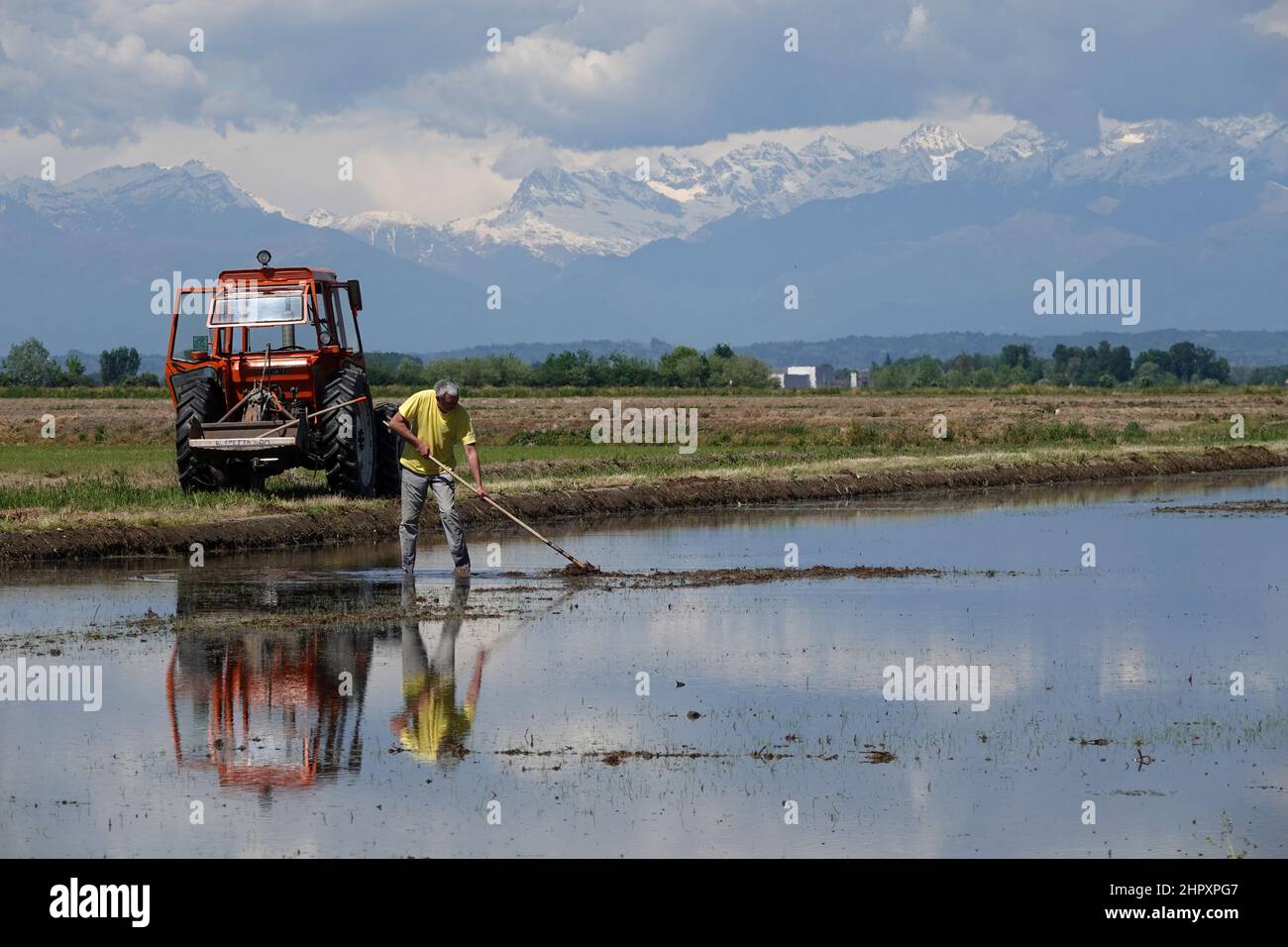 Ricefield tractor hi-res stock photography and images - Alamy