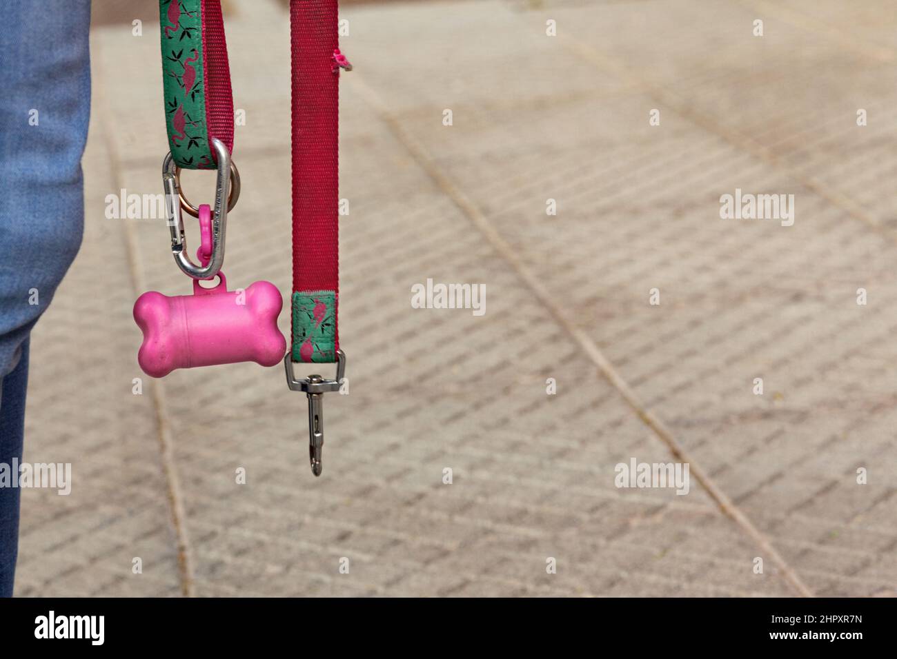 Detail of a dog's belt with a bone as poop bag Stock Photo - Alamy