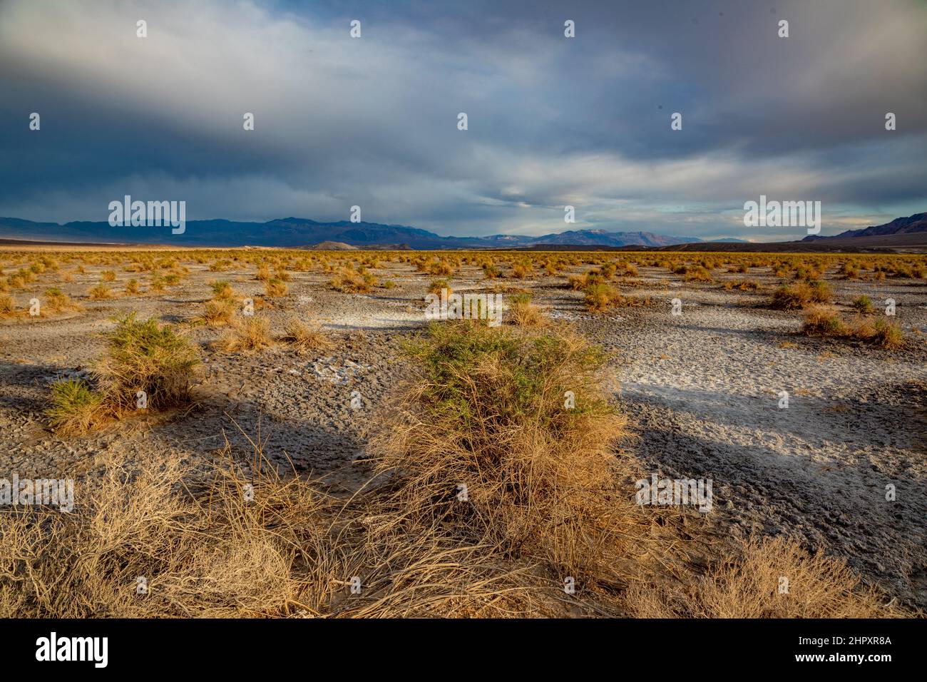 death valley desert landscape in midday heat with soft clouds Stock ...