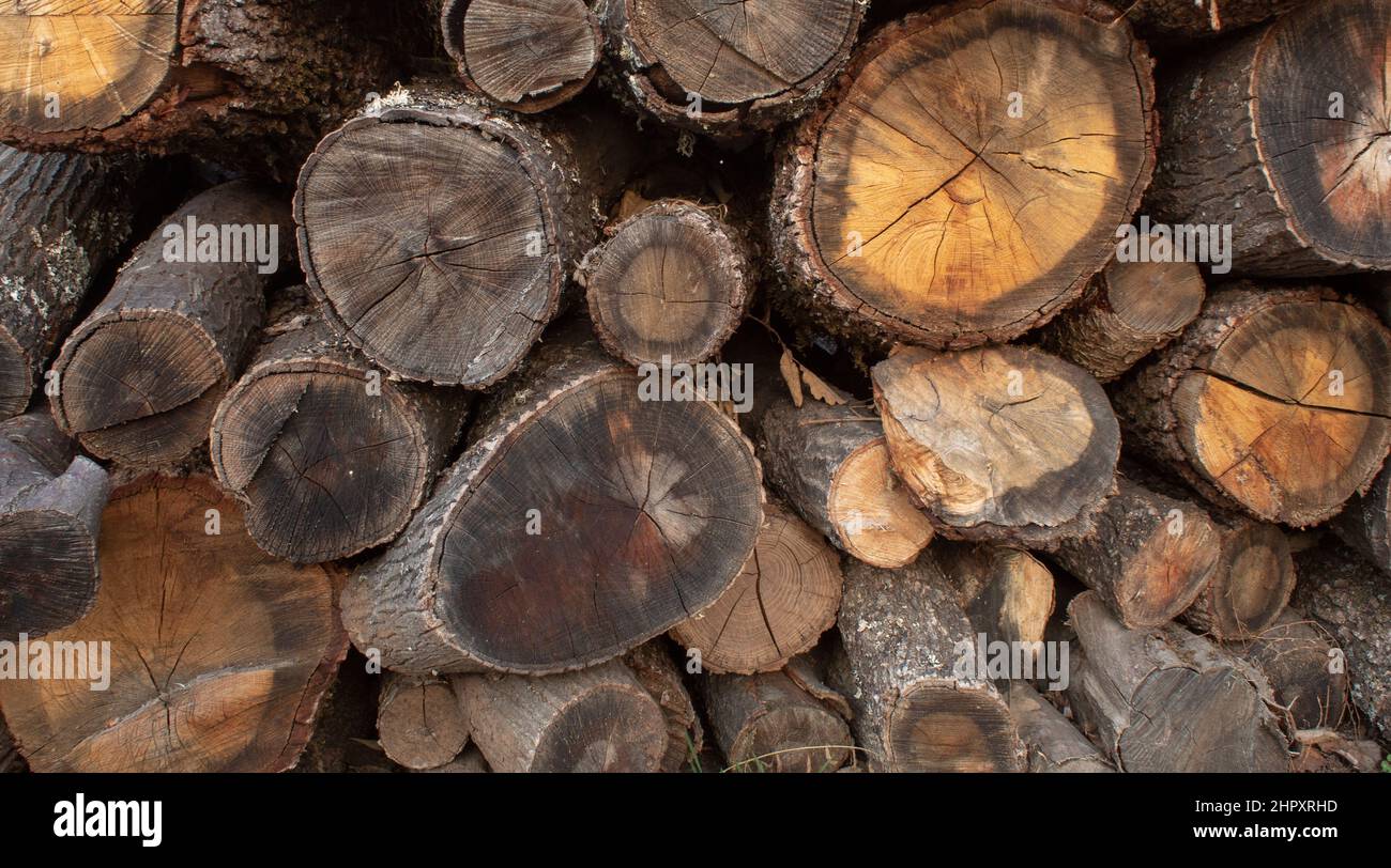 Old wooden forms ready for heating Stock Photo - Alamy