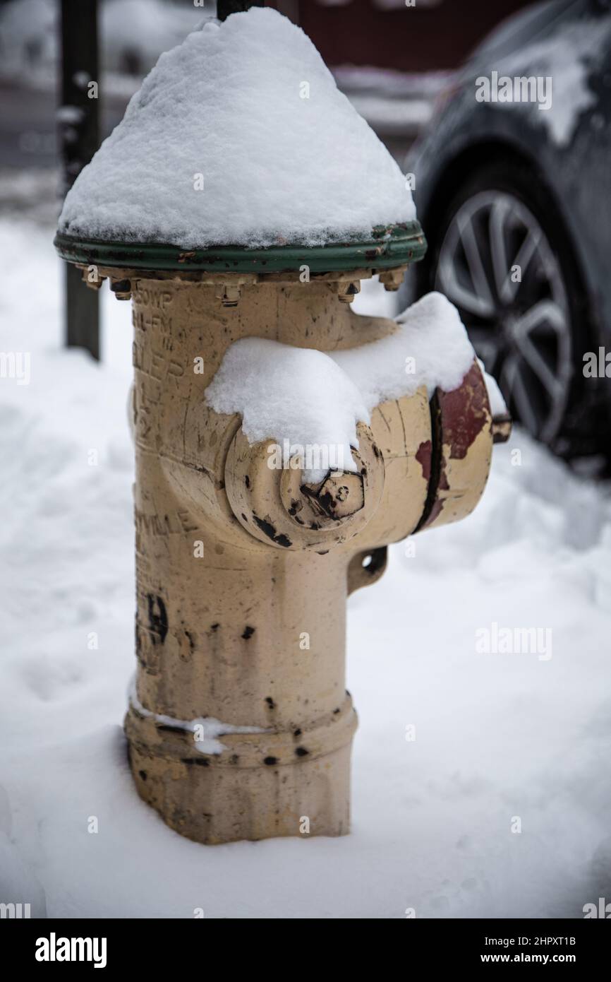Vertical shot of a fire hydrant covered with snow Stock Photo - Alamy