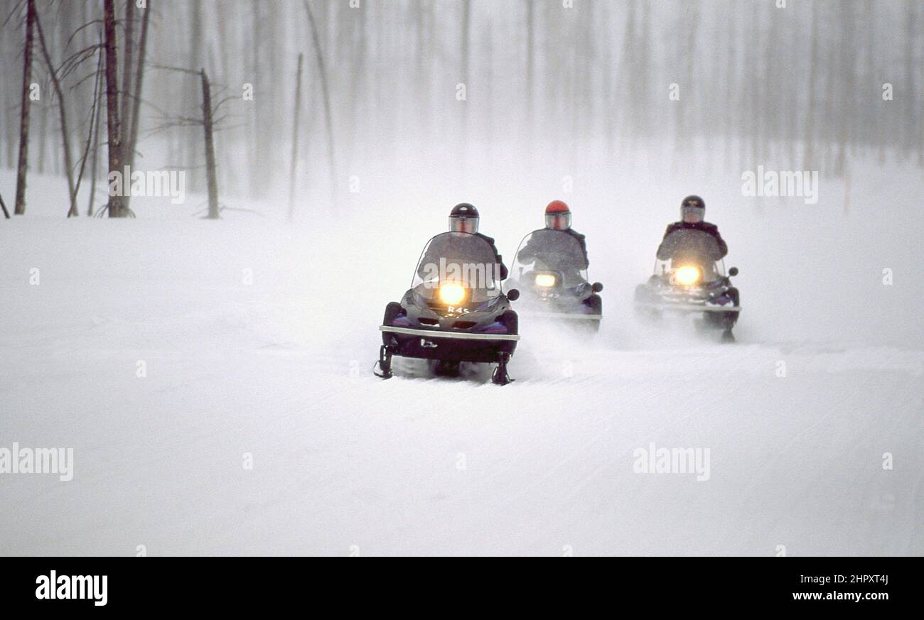 Snowmobiling in Yellowstone National Park Montana USA Stock Photo - Alamy