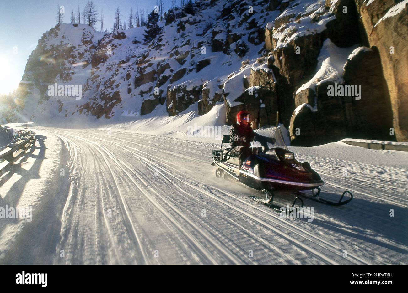 Snowmobiling in Yellowstone National Park Montana USA Stock Photo - Alamy