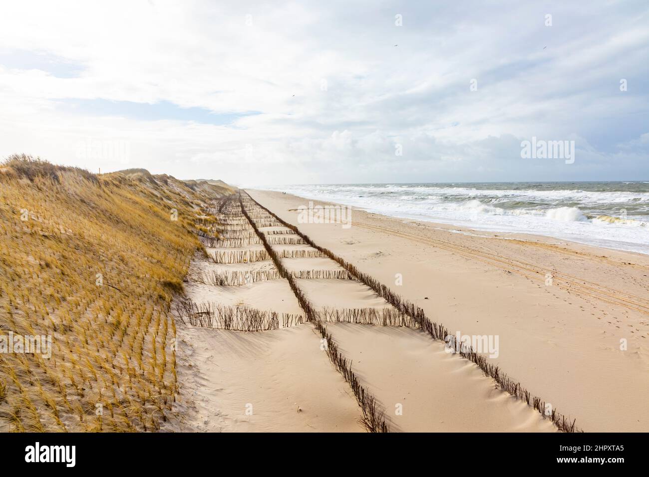 dune landscape at the west beach in List a t the island of Sylt in ...