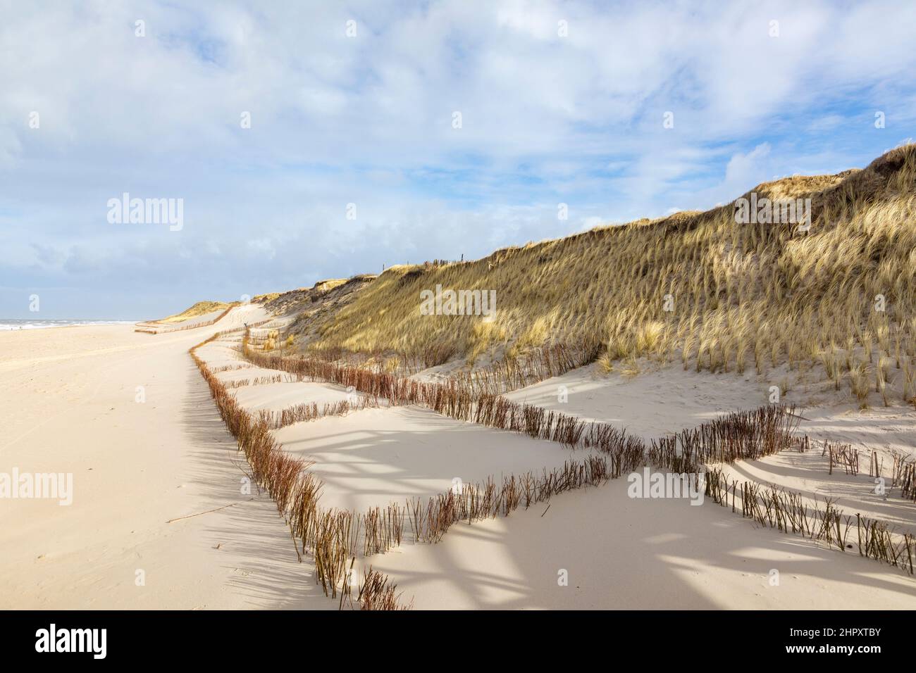 dune landscape at the west beach in List a t the island of Sylt in ...