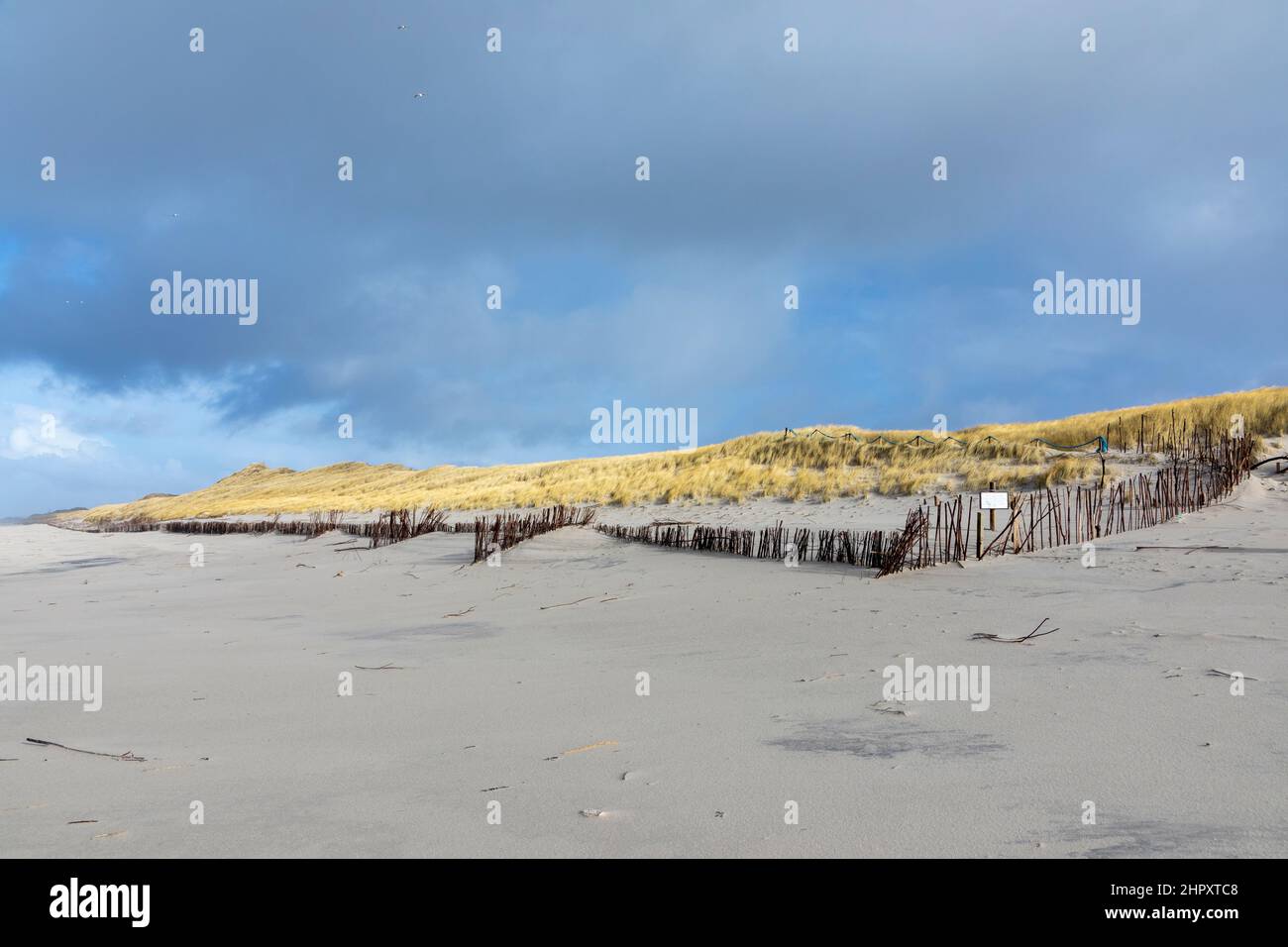 dune landscape at the island of Sylt in Hoersum, Germany Stock Photo ...