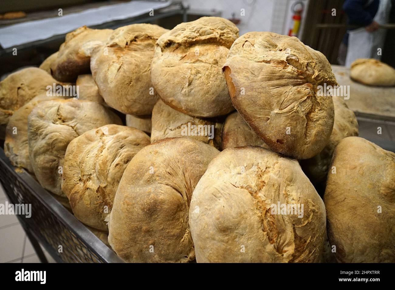 Typical bread hi-res stock photography and images - Alamy