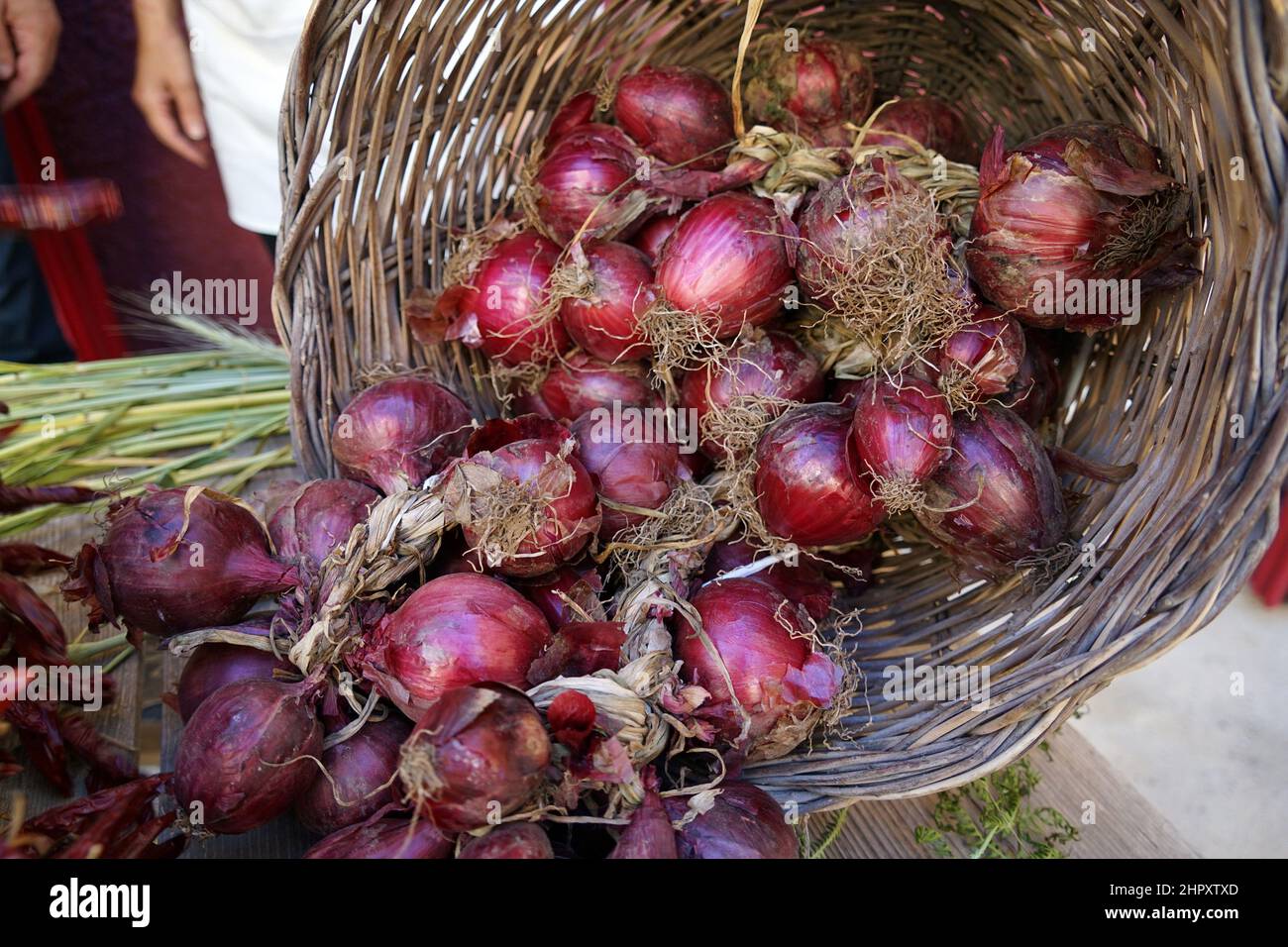 Typical tropea red onions hi-res stock photography and images - Alamy
