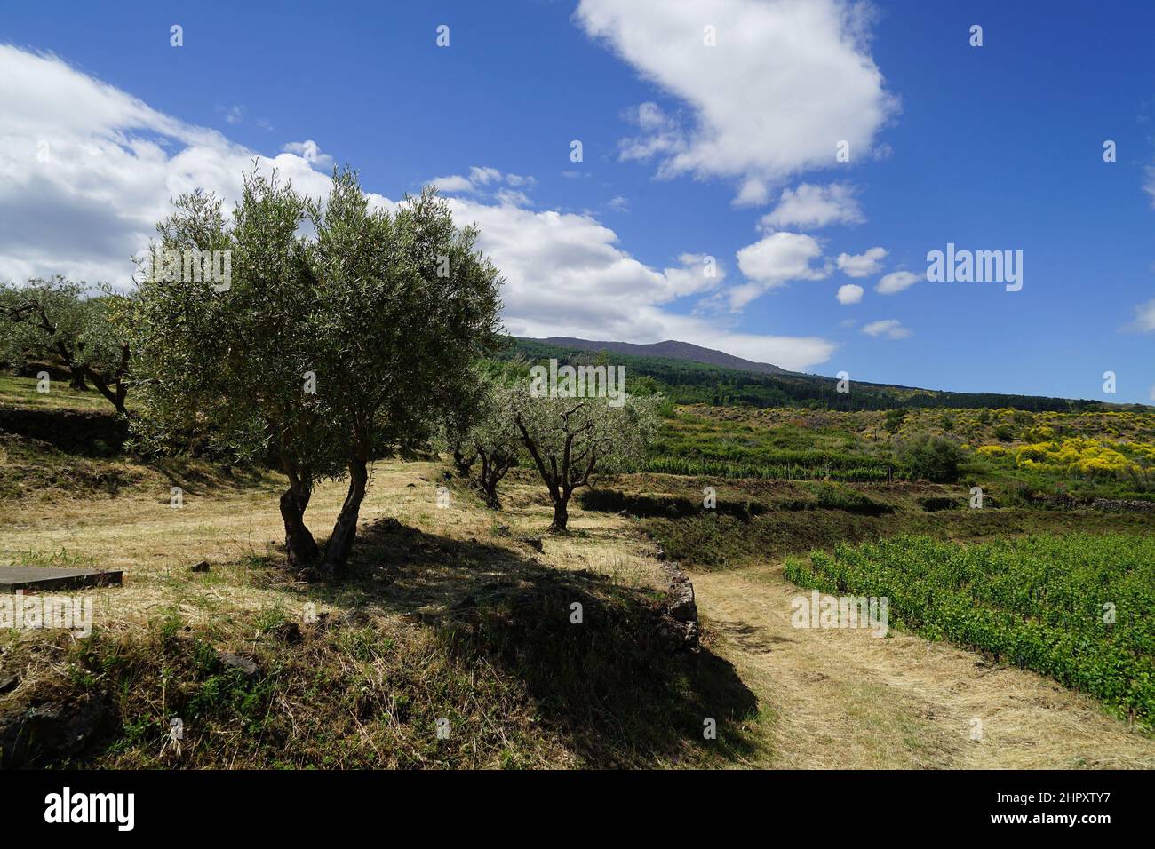 Sicilian countrysides hi-res stock photography and images - Alamy
