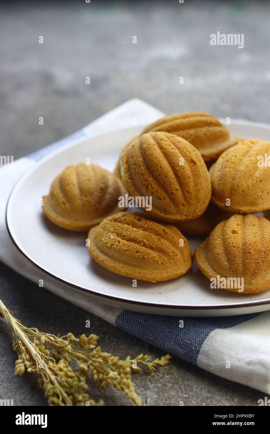 Bolu kering jadul or mini sponge cake, traditional old sponge cake on ...
