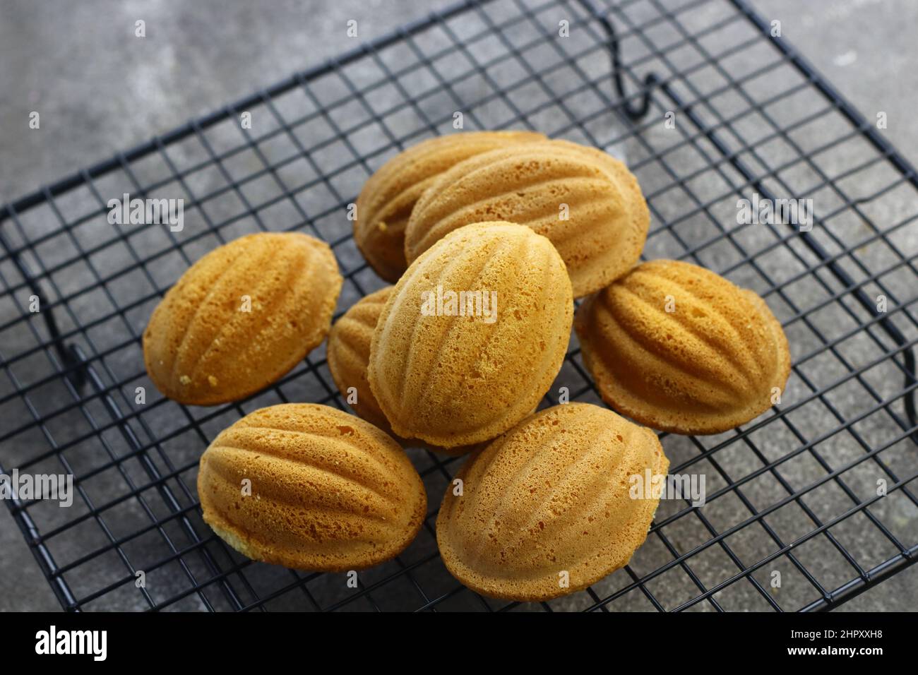 Bolu kering jadul or mini sponge cake, traditional old sponge cake on ...