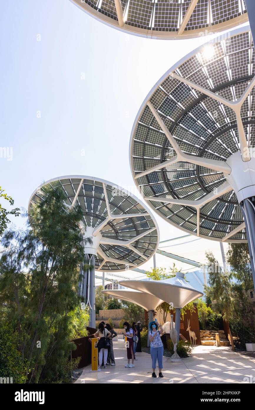 Solar Panel Trees at Terra - The Sustainability Pavilion at the Dubai ...