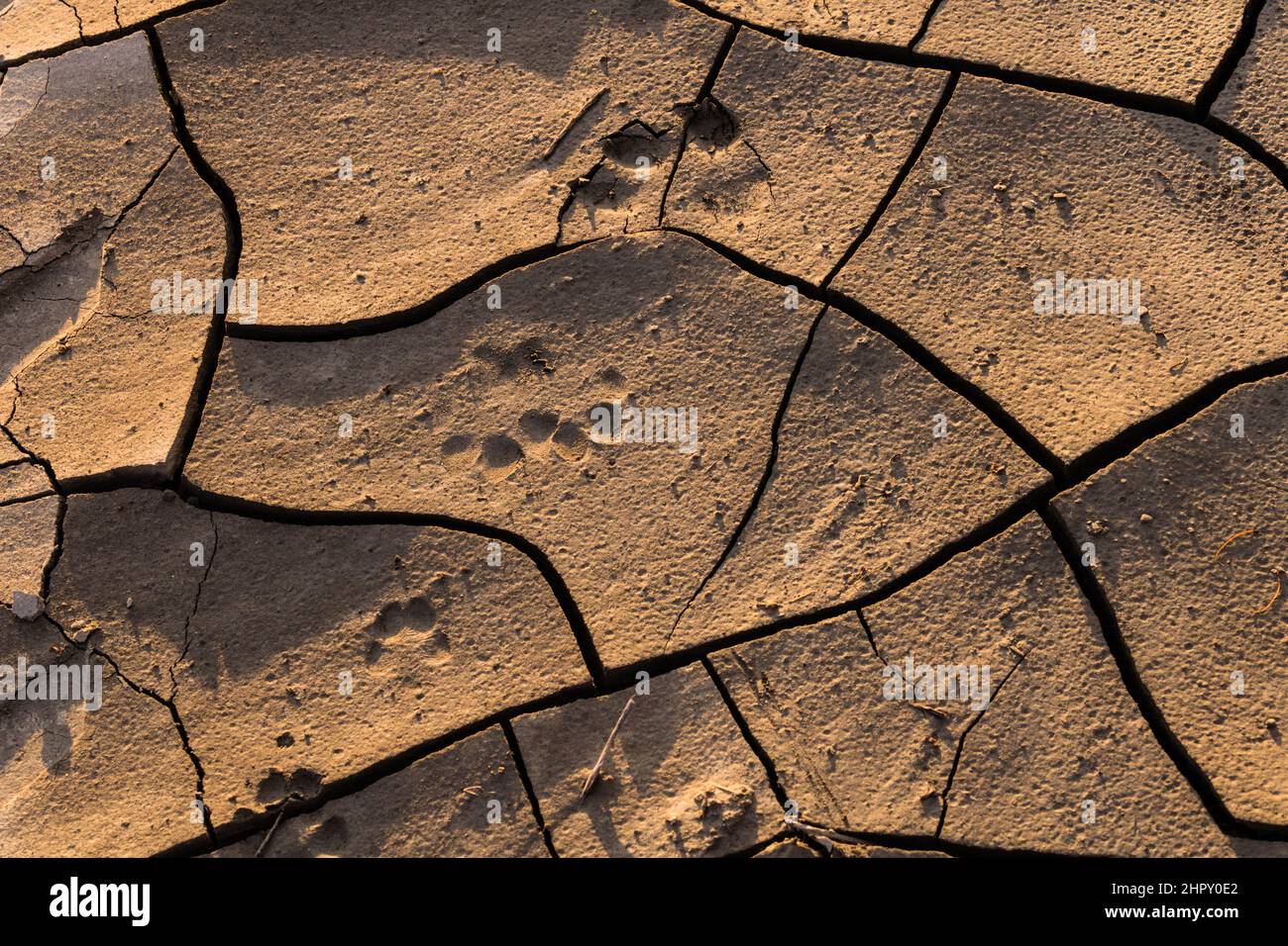 Tuscan landscape: a dreamlike country of wide verdant hills dotted with ...