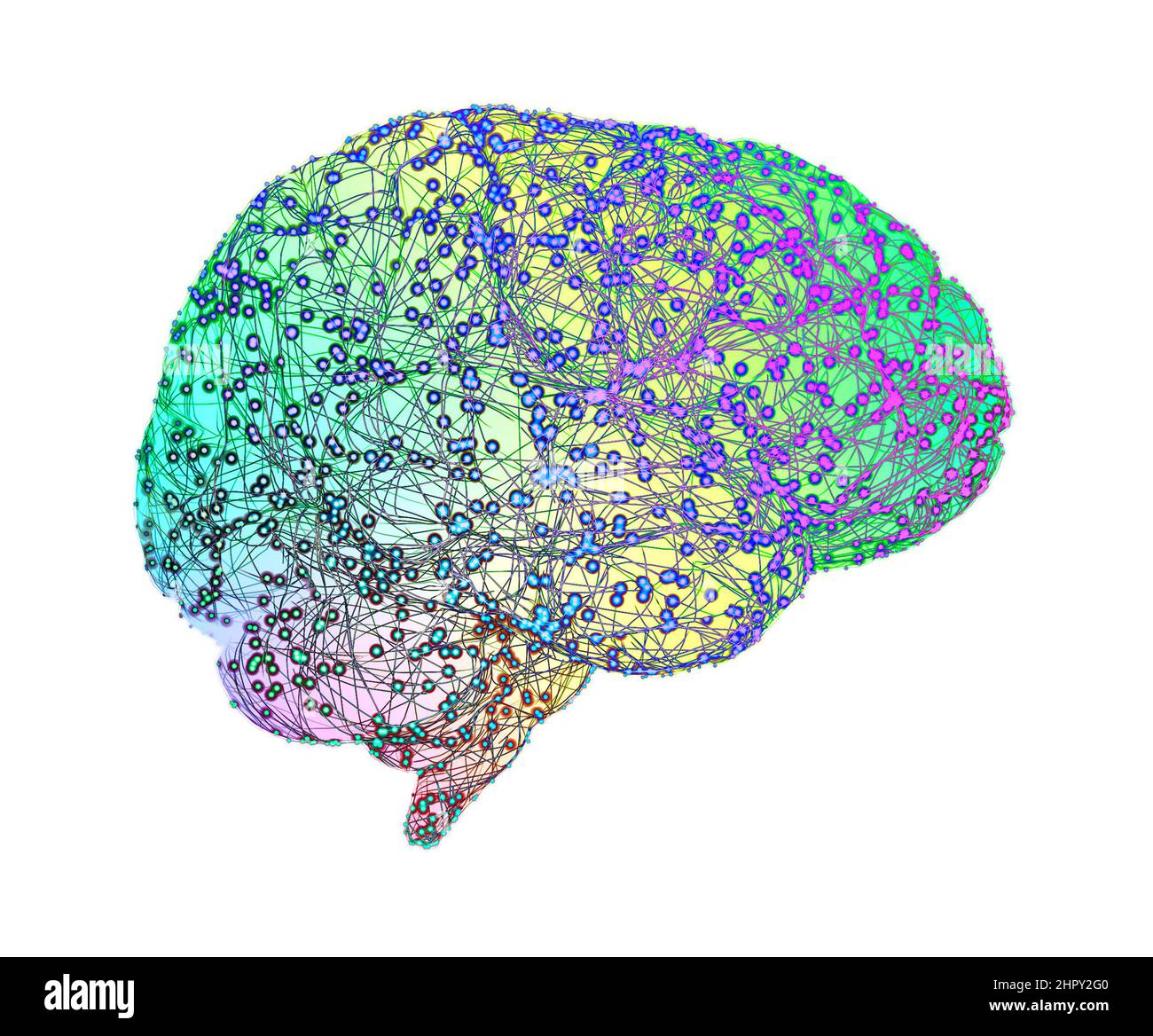 Parkinson nerve cells Cut Out Stock Images & Pictures - Alamy