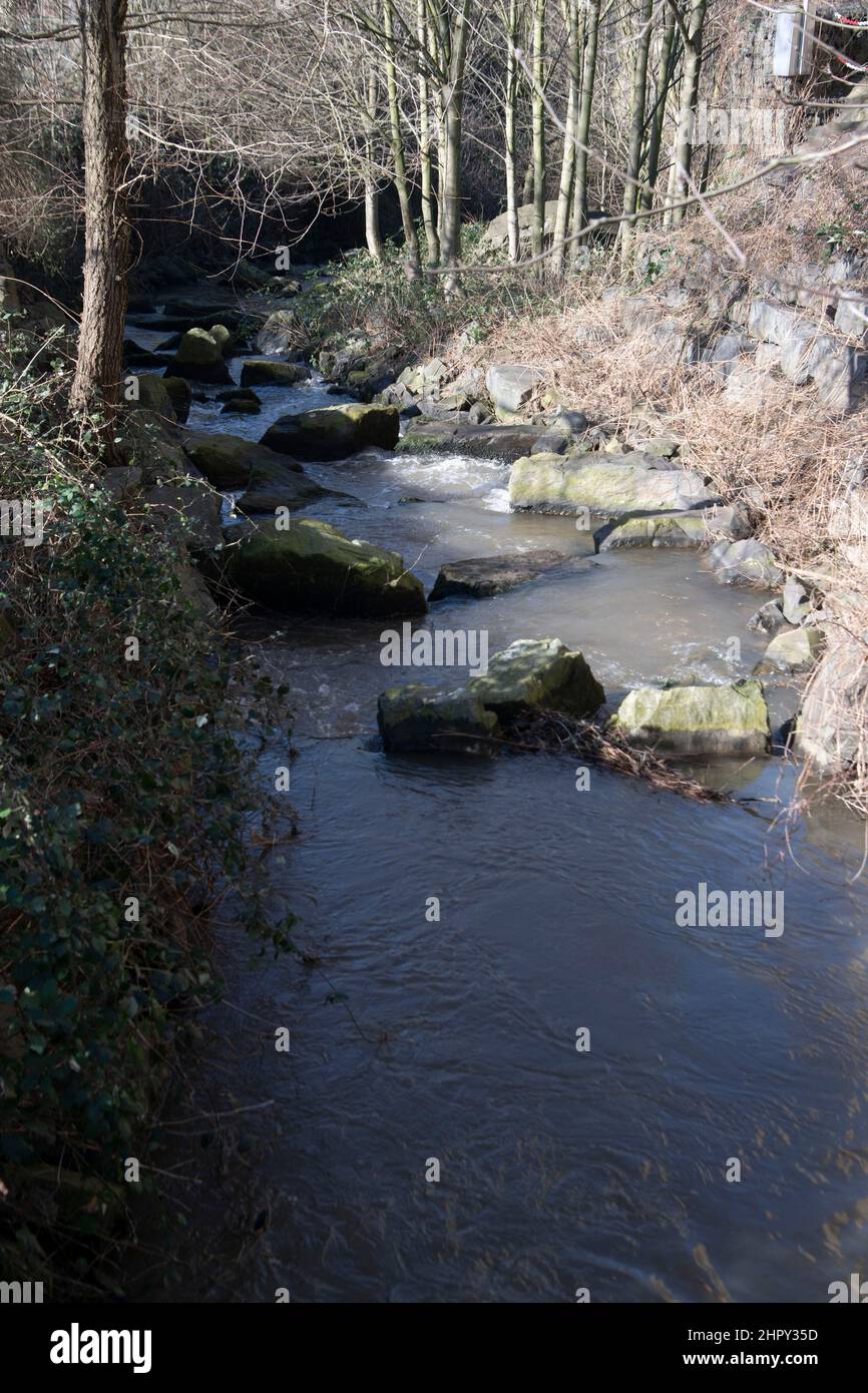 Fish ladder at the Ruihrschleuse Raffelberg, fish ladder, hydroelectric ...