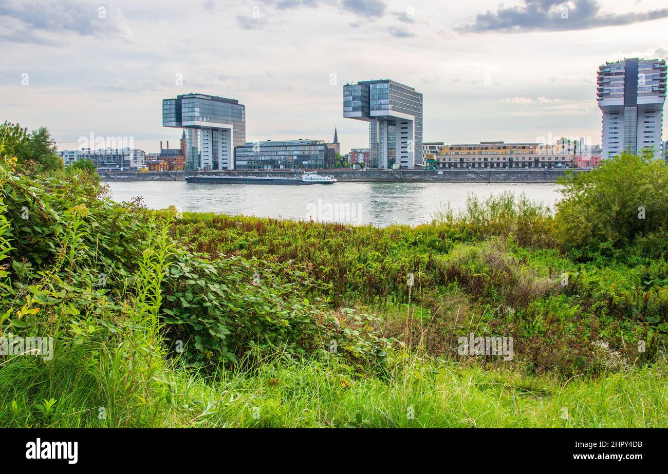 The Rhine River,the buildings and the Cityscape of Cologne NRW Germany ...