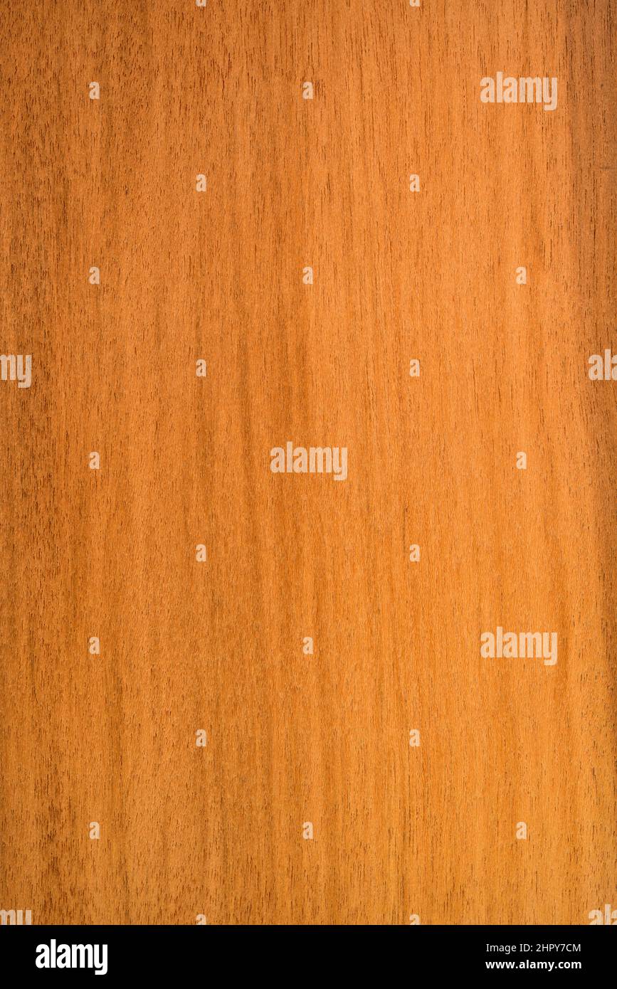 Aspidosperma polyneuron hi-res stock photography and images - Alamy