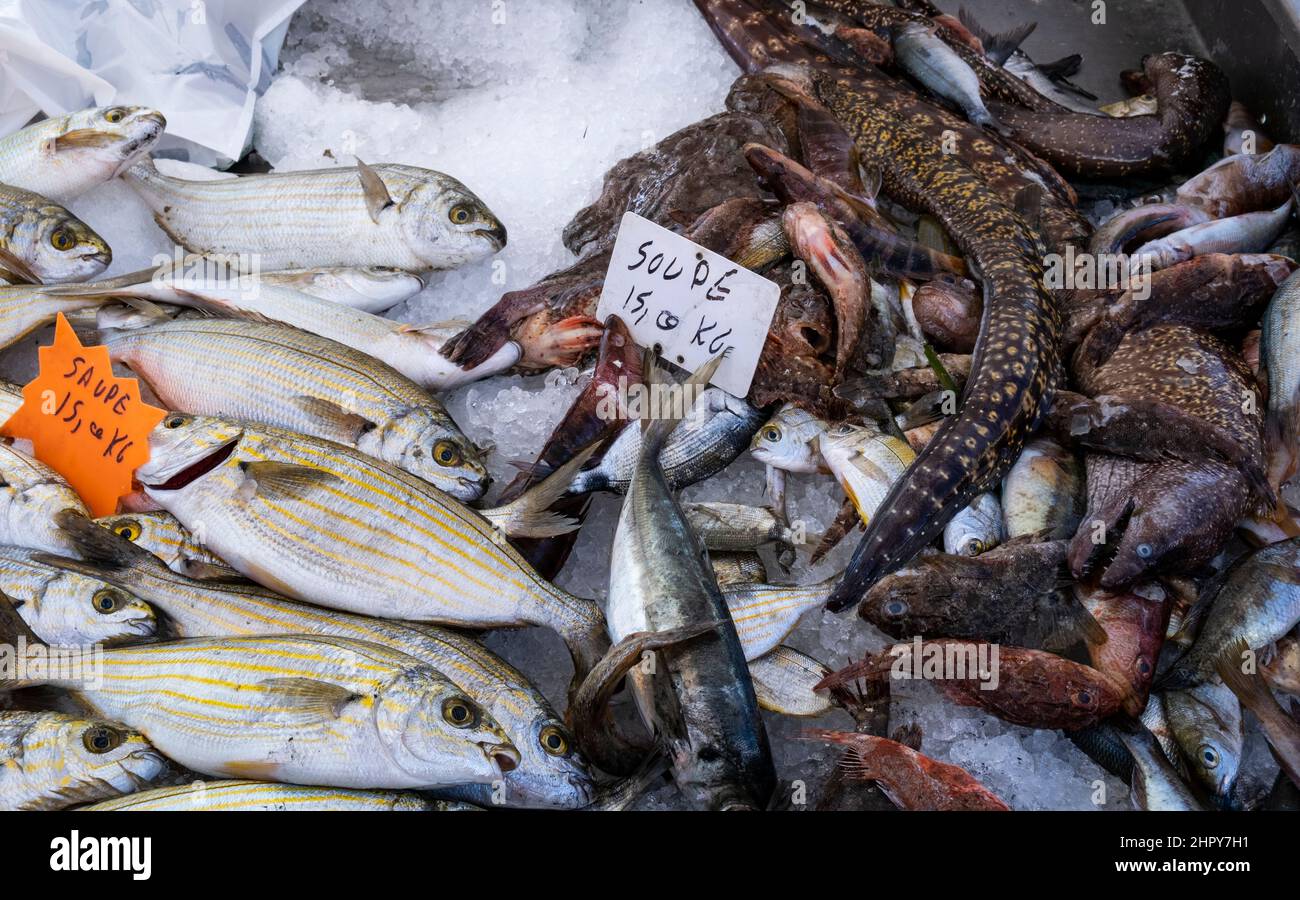 Mixed fish hi-res stock photography and images - Alamy