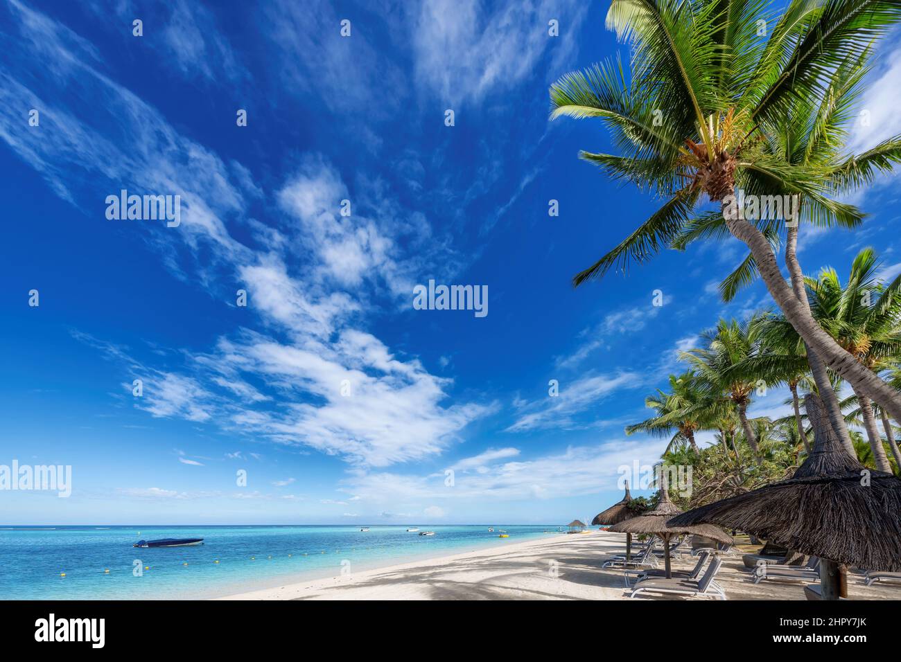 Palm trees in tropical sunny beach resort in Mauritius island Stock ...