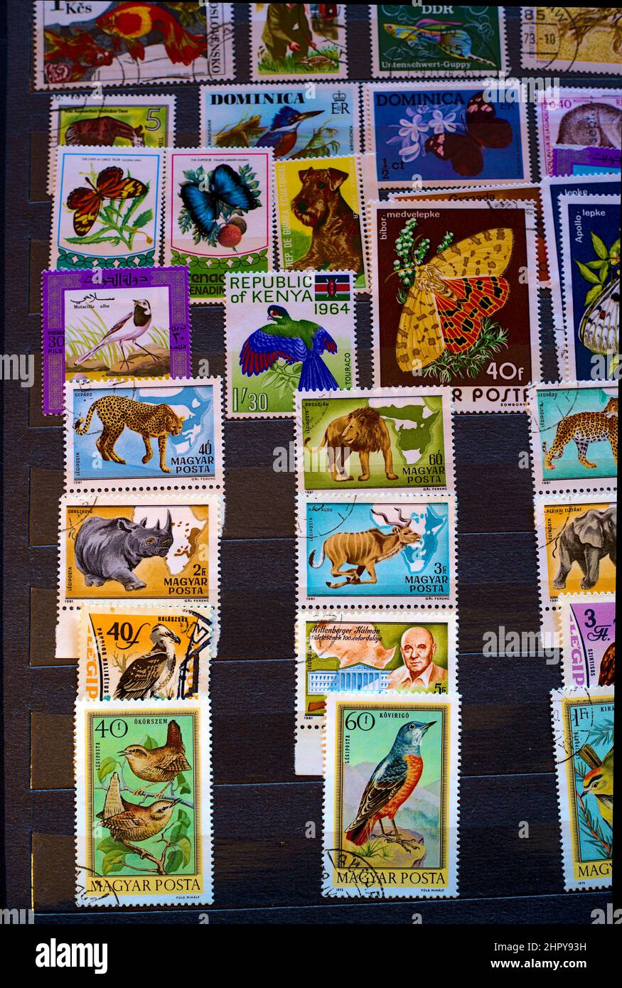 Collection of stamps Stock Photo - Alamy