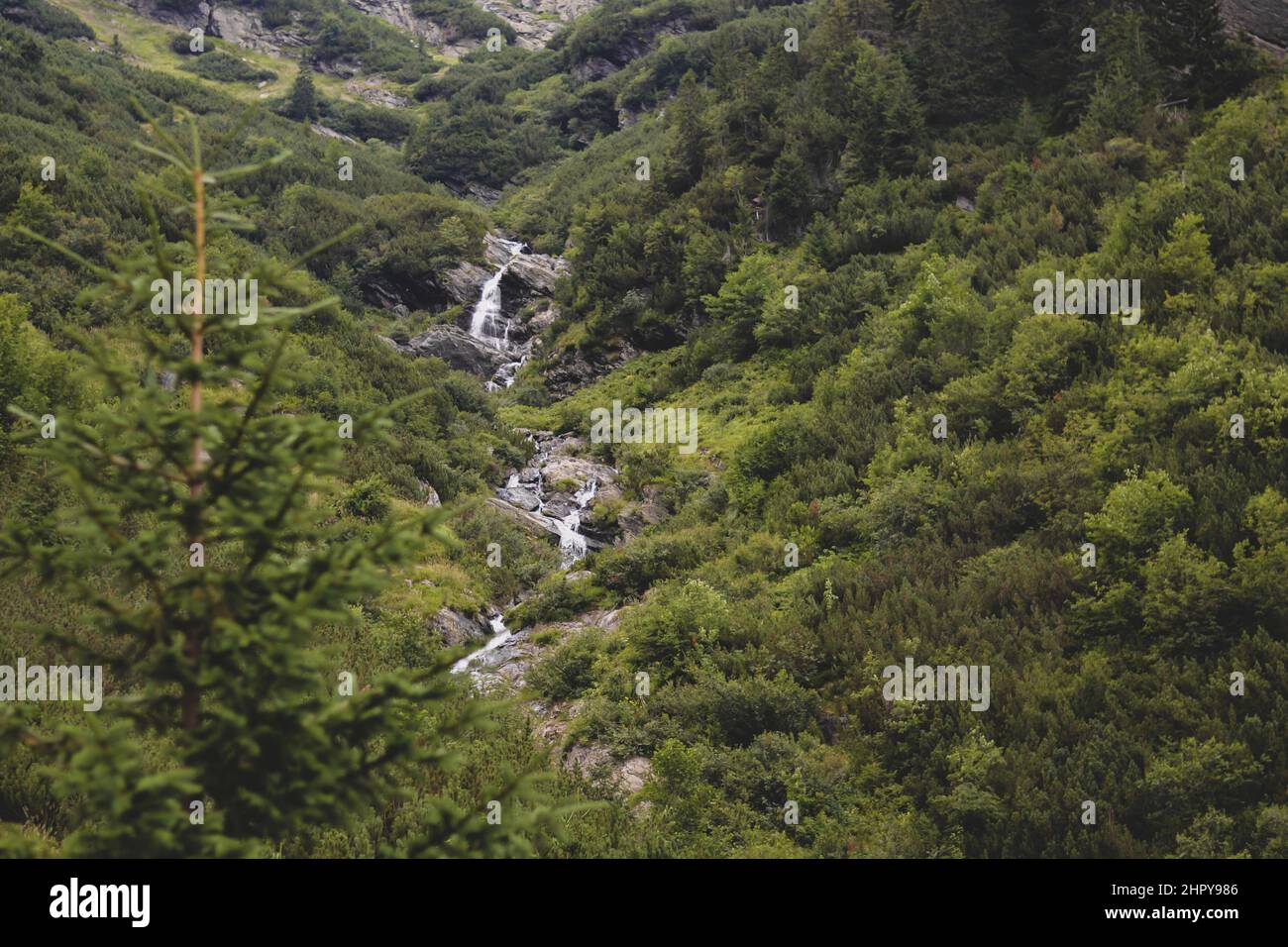 Small waterfall that springs from the high mountain full of greenery ...