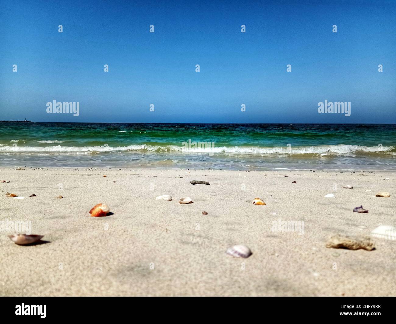 Sandy beach with shells, brought by the waves of the sea, under a ...
