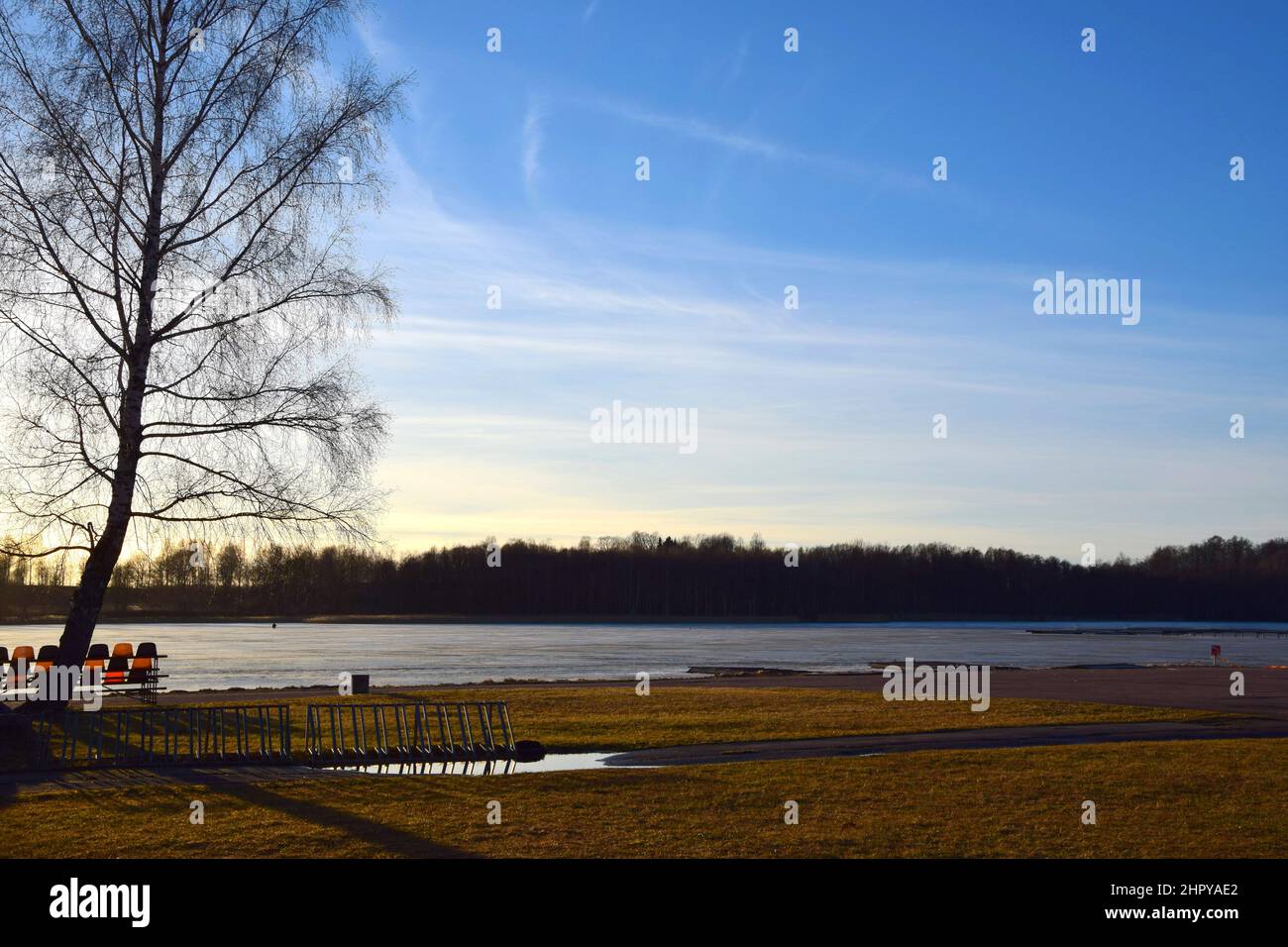 Beautiful view of a lake surrounded with some trees and a grass field ...