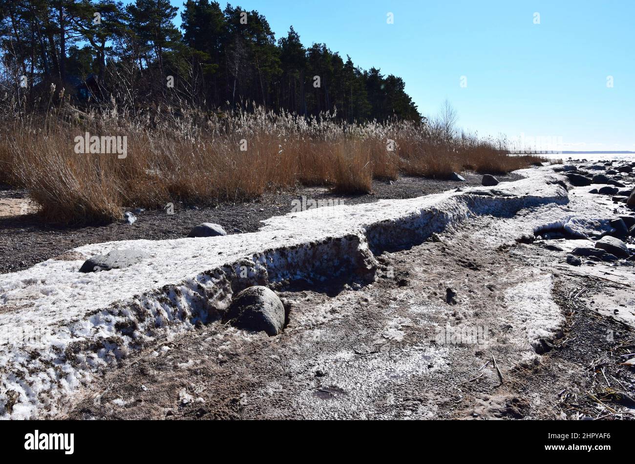 Frozen coastline with brown grass during day time Stock Photo - Alamy