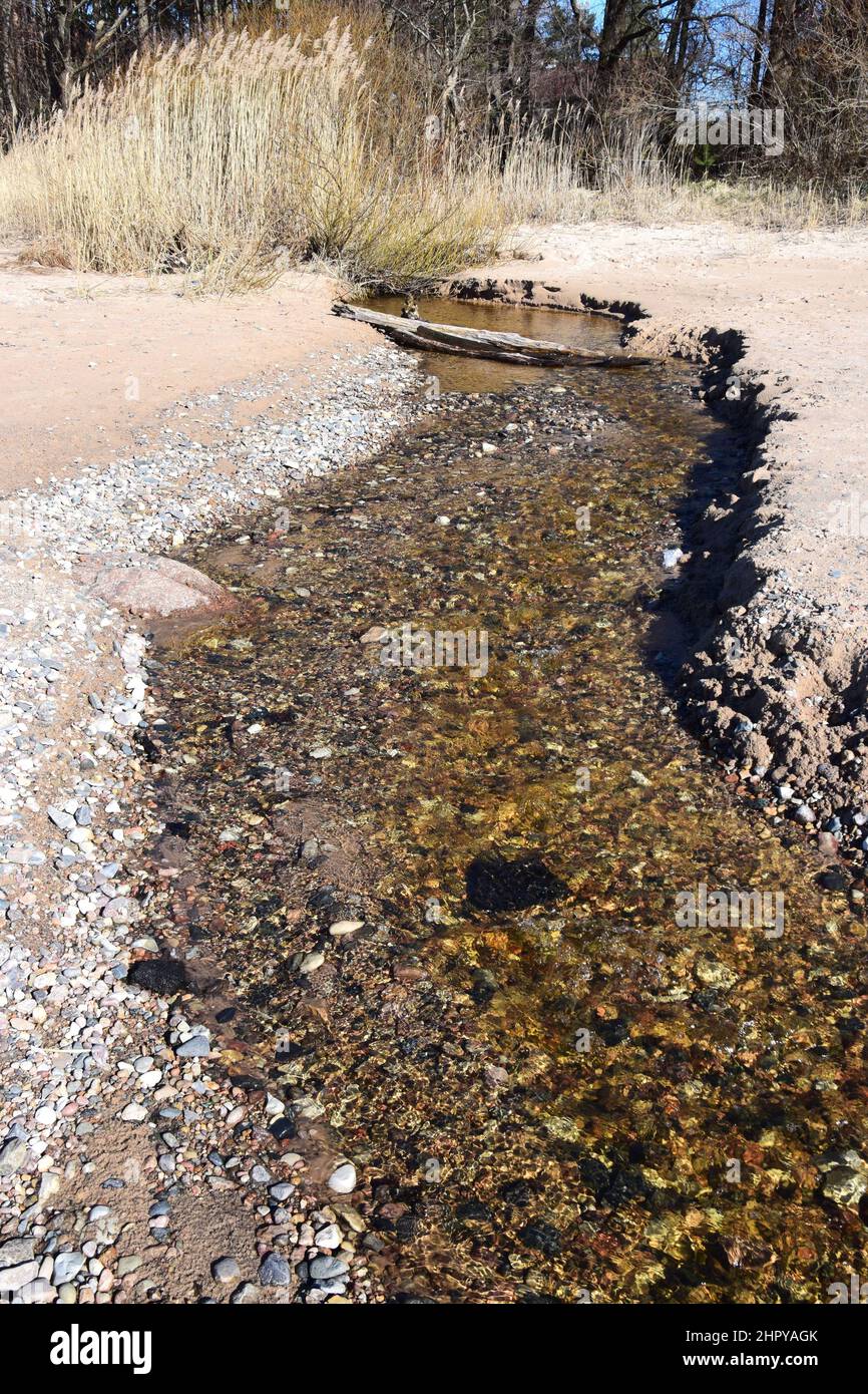 Vertical shot of a water stream flowing in the countryside under the ...